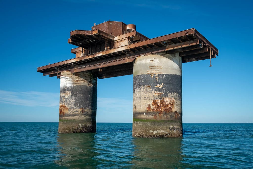 THAMES ESTUARY BOAT TRIP: Sea Forts, Shipwrecks, and Wildlife