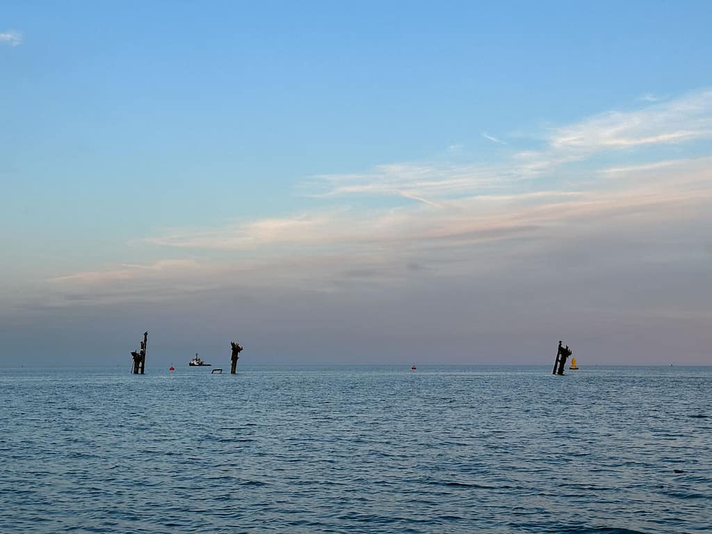 THAMES ESTUARY BOAT TRIP: Sea Forts, Shipwrecks, and Wildlife