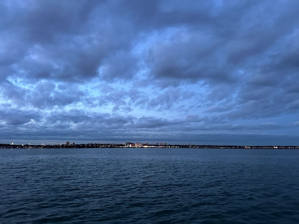 THAMES ESTUARY BOAT TRIP: Sea Forts, Shipwrecks, and Wildlife